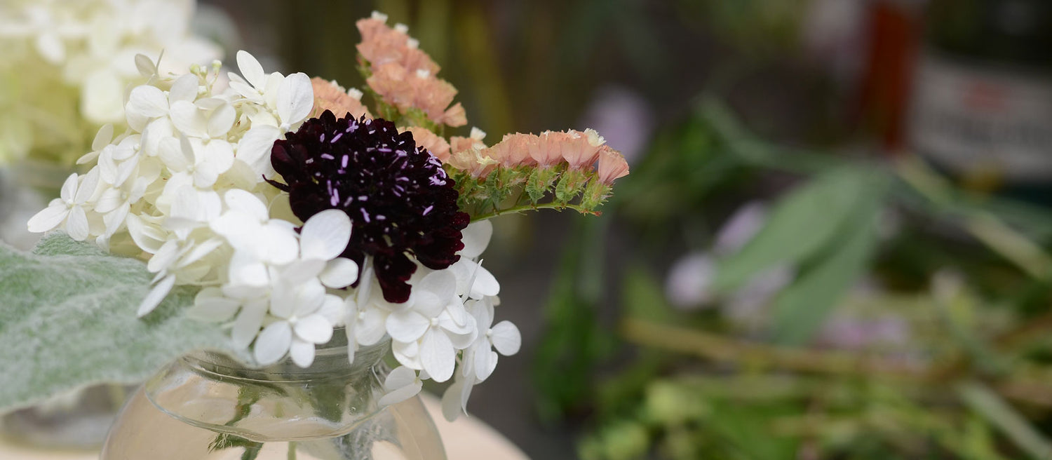 Willow & Stock Floral Design | Locally Sourced Flowers in Iowa City
